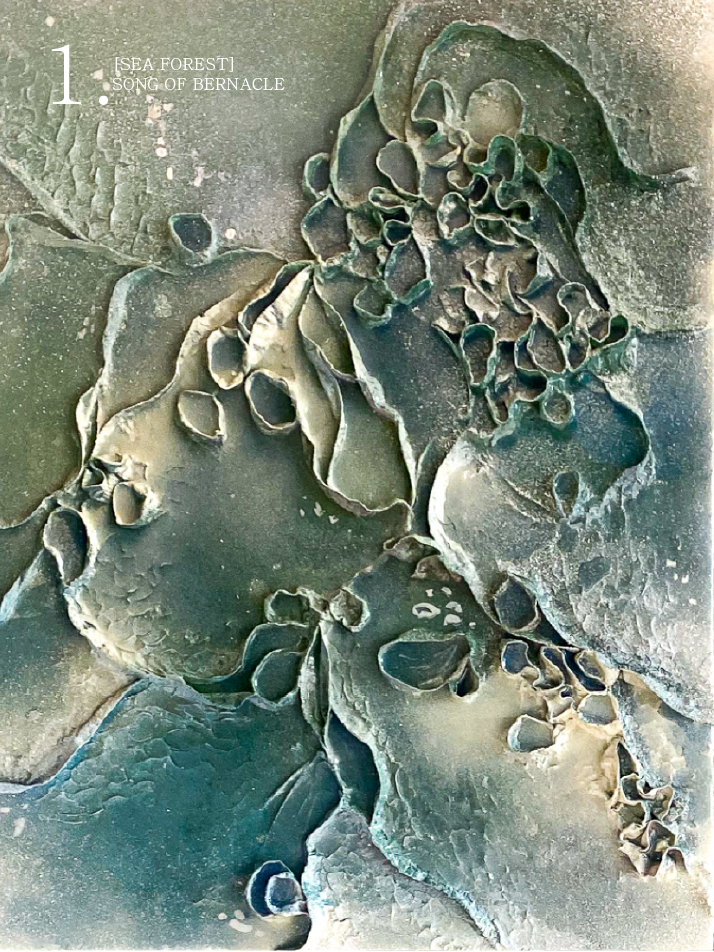 [LICA LIM] SONG OF BERNACLE | ETERNAL JOURNEY